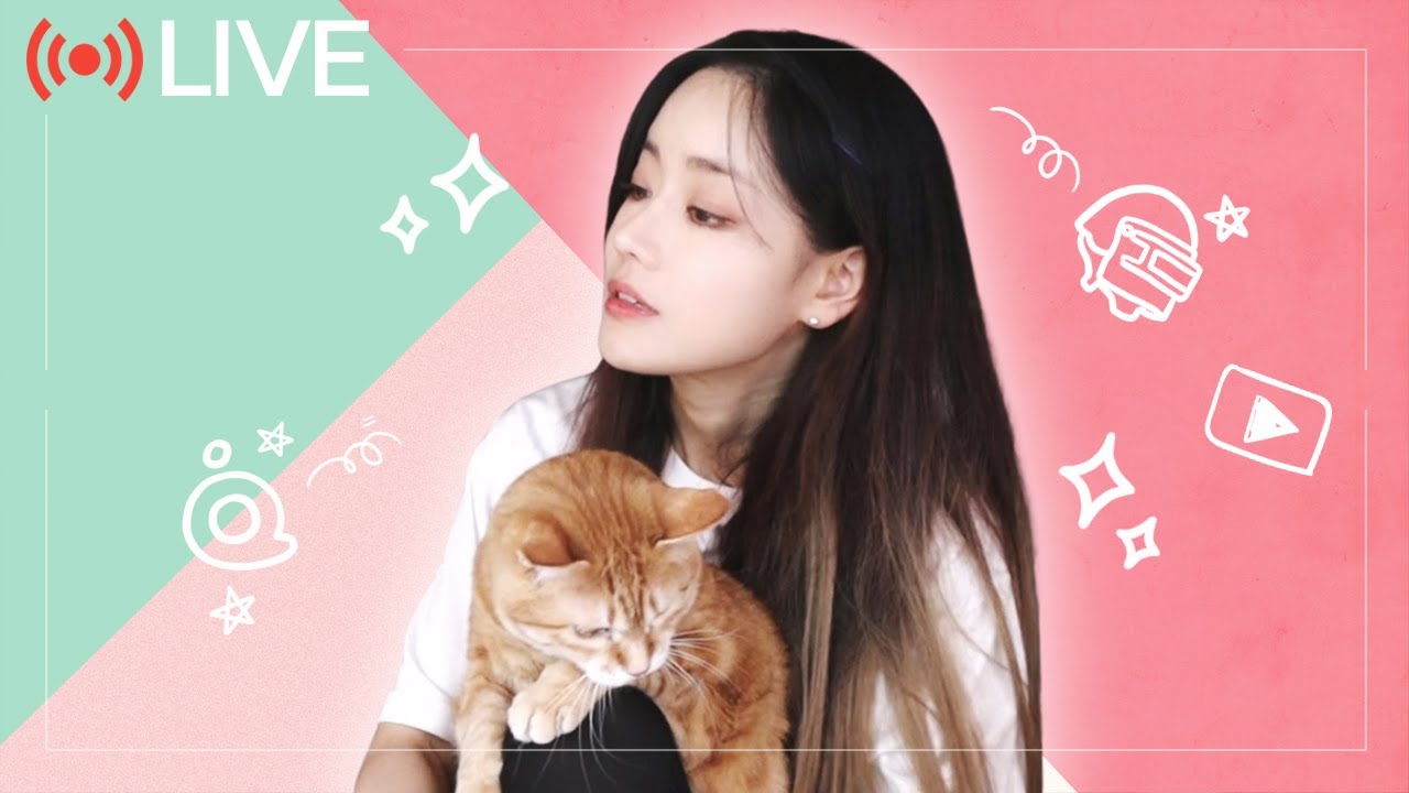 241101 생방송 (1440p) 배그 - YouTube