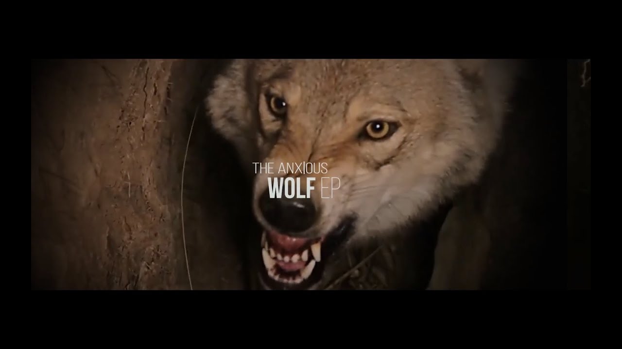 The Anxious - Wolf EP (Blackout Audio) PROMO VIDEO - YouTube