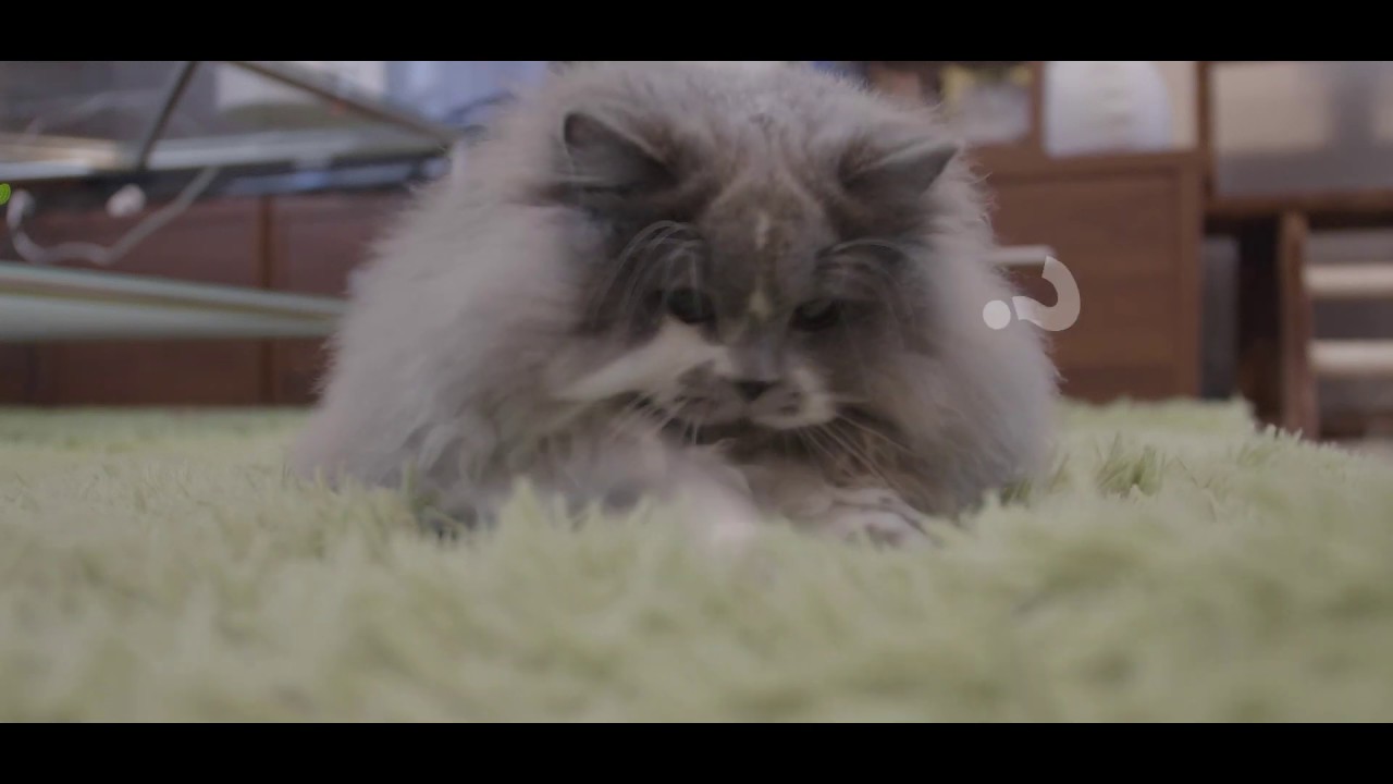 Angry Chester - YouTube