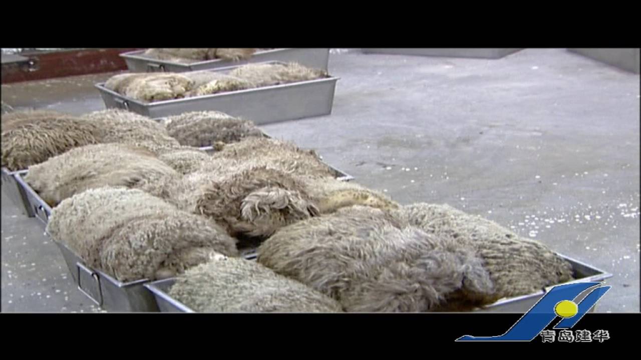 the process of slaughtering sheep - YouTube