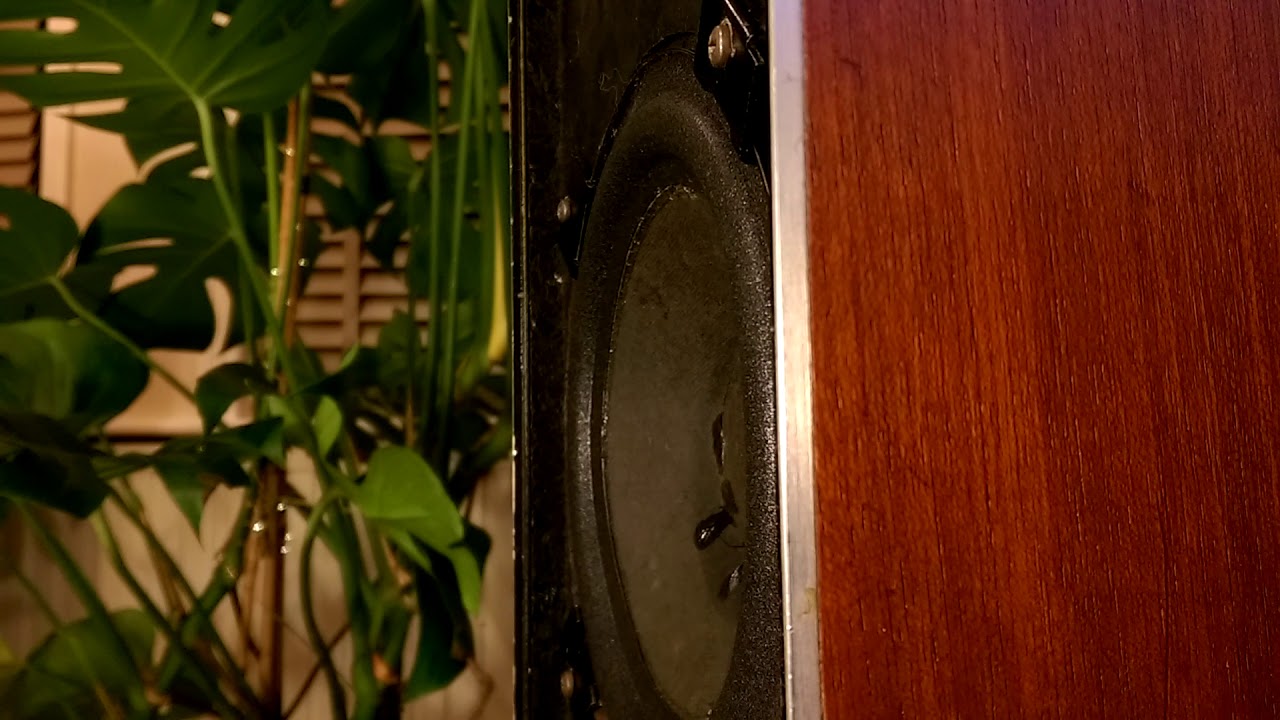 Bang & Olufsen BeoVox 2702 burn in test after refoam and recap - YouTube