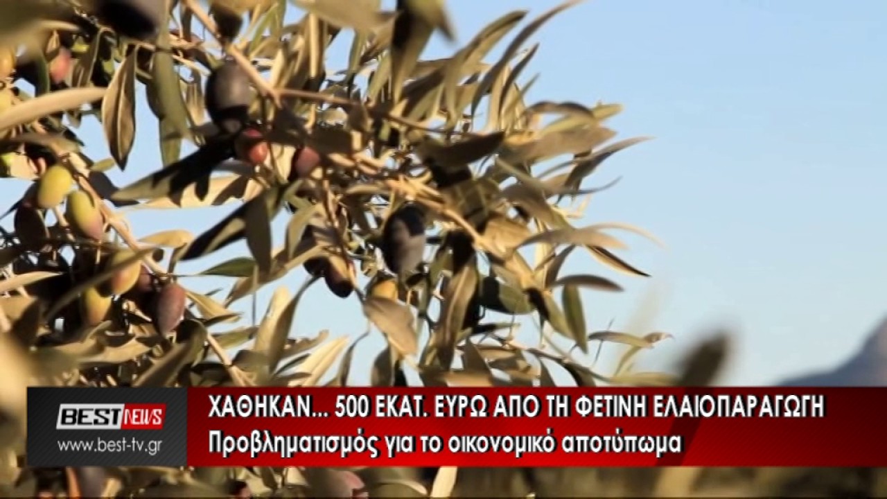 ΧΑΘΗΚΑΝ ΕΚΑΤΟΜΜΥΡΙΑ ΑΠΟ ΤΙΣ ΖΗΜΙΕΣ ΣΤΗΝ ΕΛΑΙΟΠΑΡΑΓΩΓΗ - YouTube