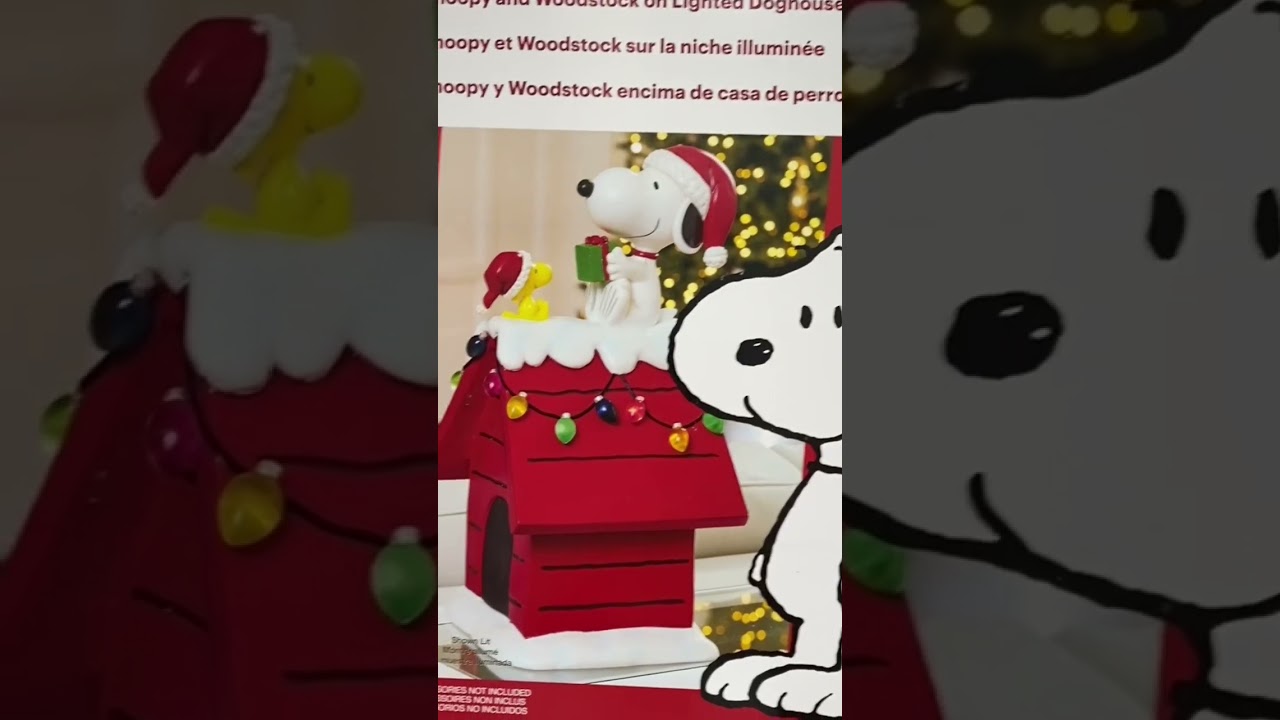 PEANUTS | SNOOPY AND WOODSTOCK | FRIENDS | You are worthy #shorts - YouTube