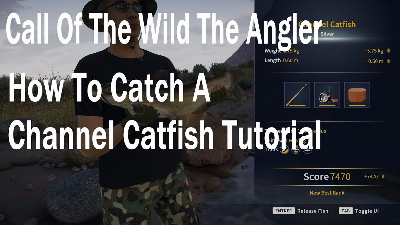 Call Of The Wild The Angler, How To Catch A Channel Catfish Tutorial - YouTube