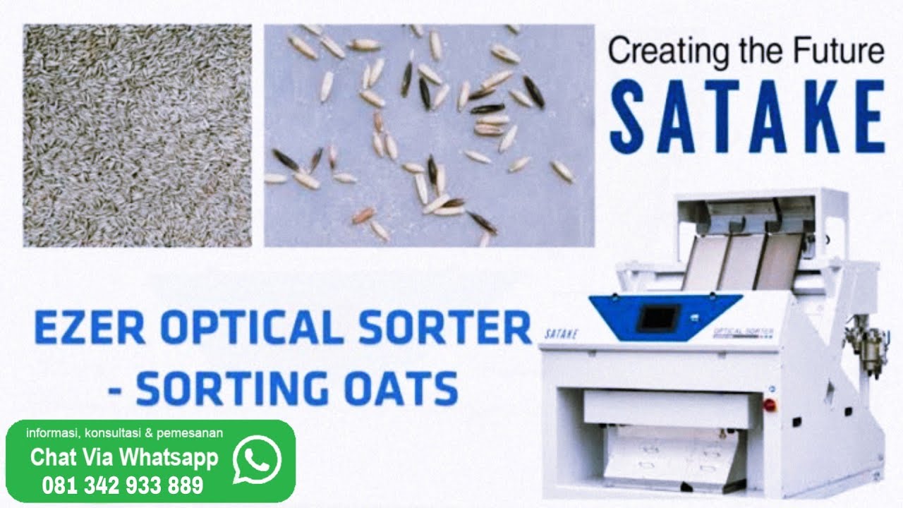 Review color sorter SATAKE EZER Series - YouTube