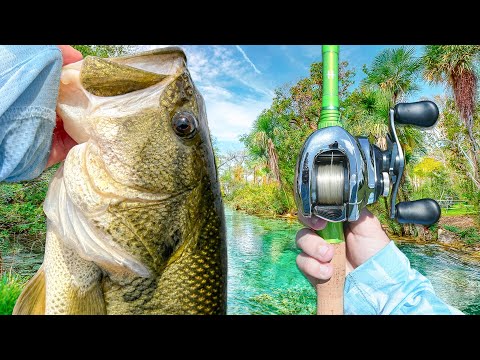 Fishing A PRISTINE Lagoon For GIANT Bass (Unreal Bites)