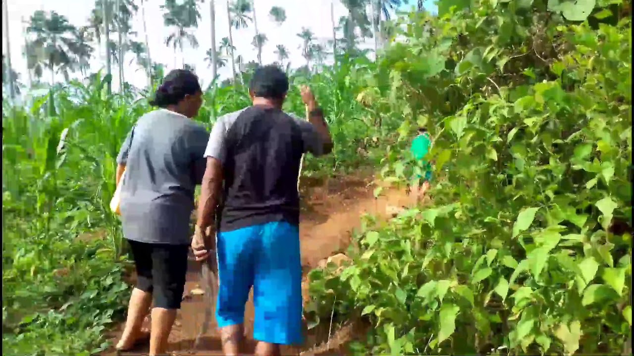 BUKID LIFE - YouTube