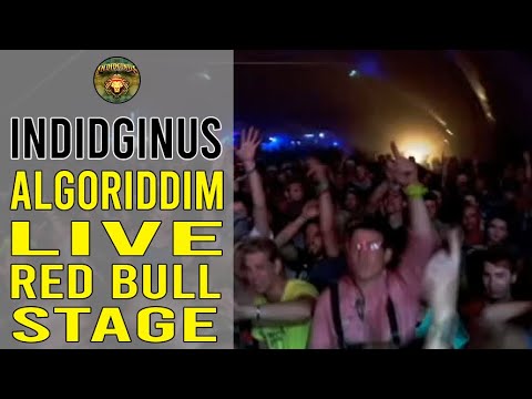 Indidginus Brings ELECTRIC DIDGERIDOO Dubstep to the Red Bull Stage at ...