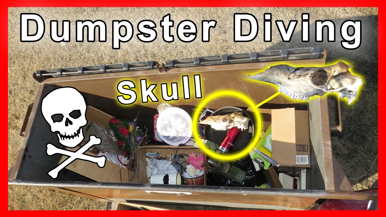 Found skeleton skull Dumpster Diving #217 - YouTube