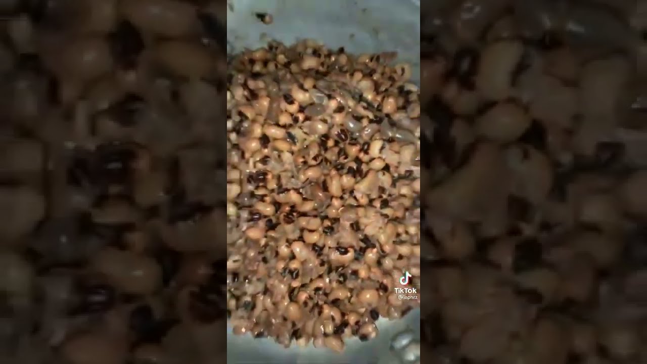 She Made Beans WTF - YouTube