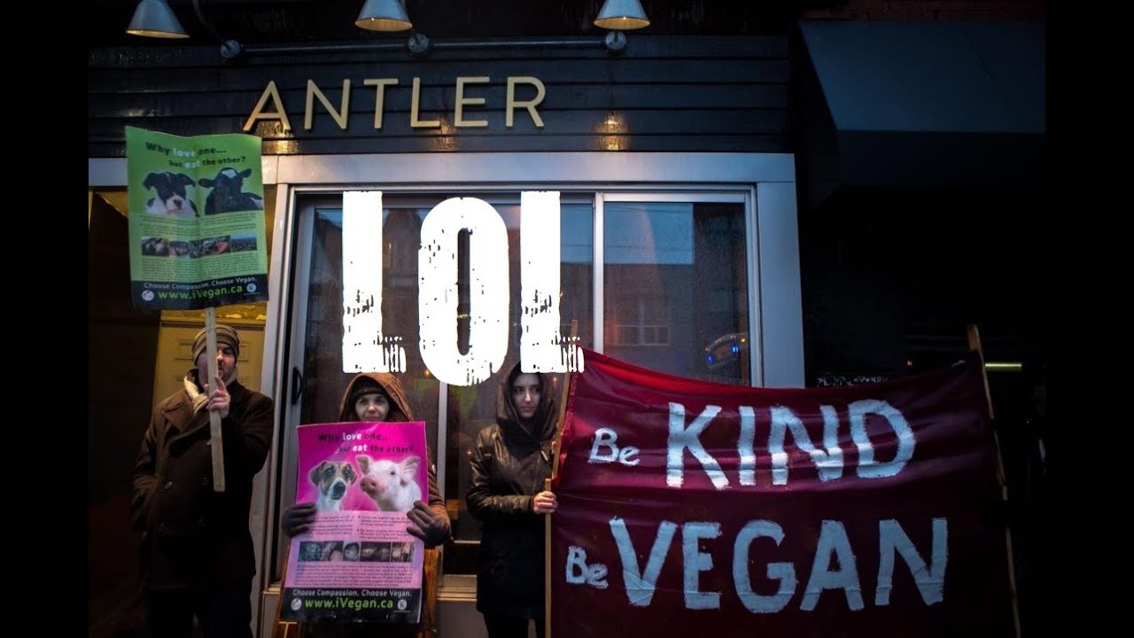 How to deal with vegan protesters! - YouTube