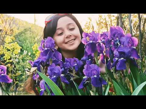 Ülker Mirzezade - Dar Olur Yar Yar | Duyğu