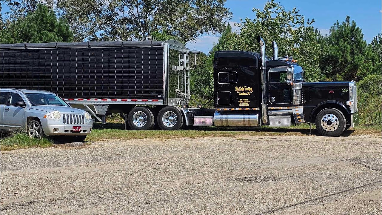 Matching Black on Black Peterbilt 389 with Wilson hopper bottom - YouTube