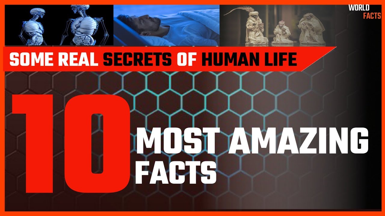 Top 10 amazing facts about human body | 10 Most Interesting facts about ...
