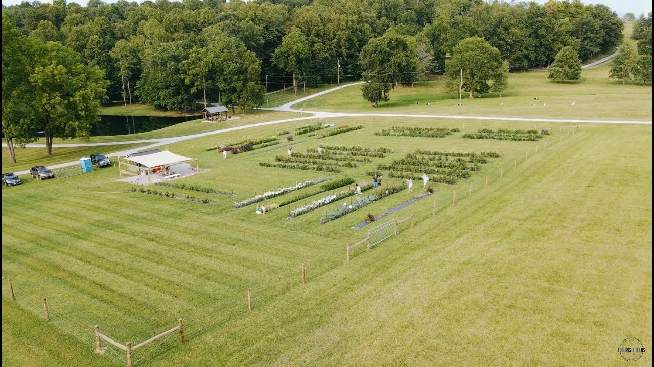 Flourish Fields U-Pick, 2023 - YouTube