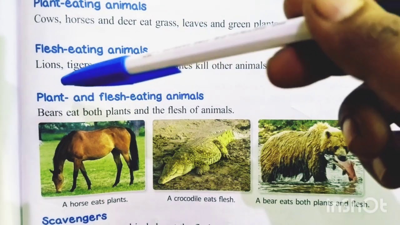 Class 2 ch-12 Animals our friends ( part -4) - YouTube