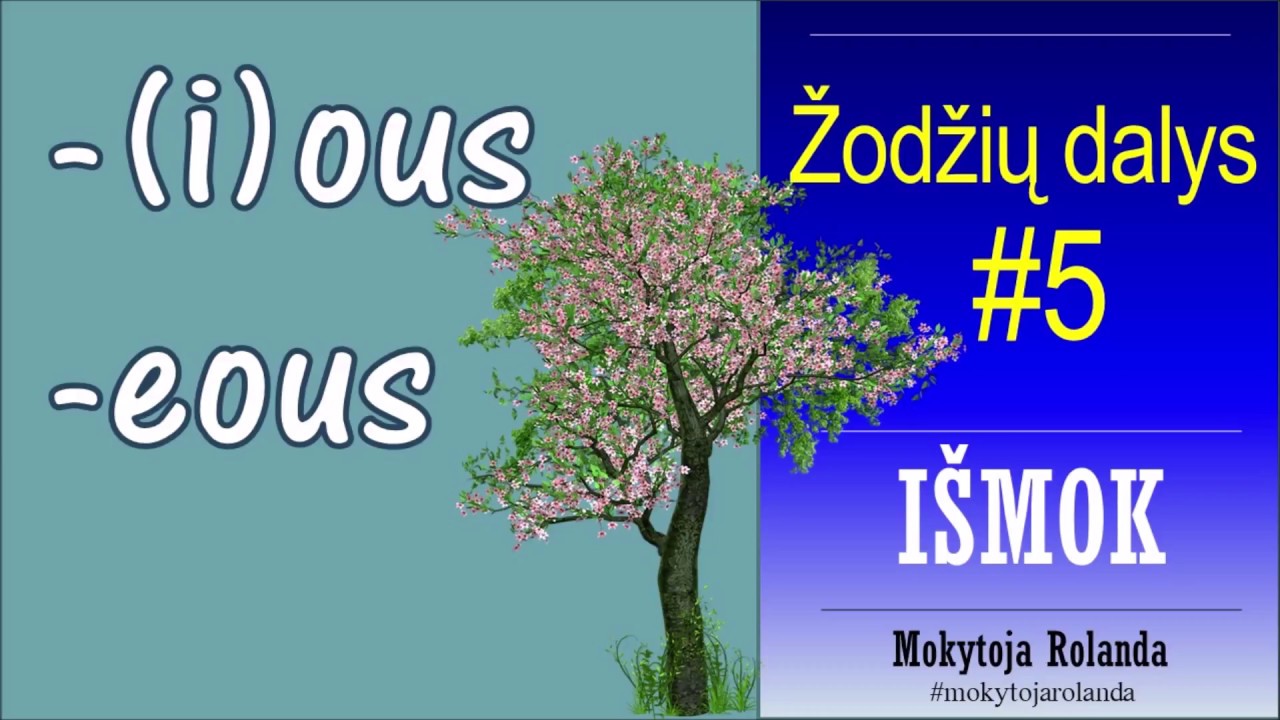 🌳 Žodžių dalys #5 Būdvardžių priesagos -ious ir -eous 🌳 - YouTube