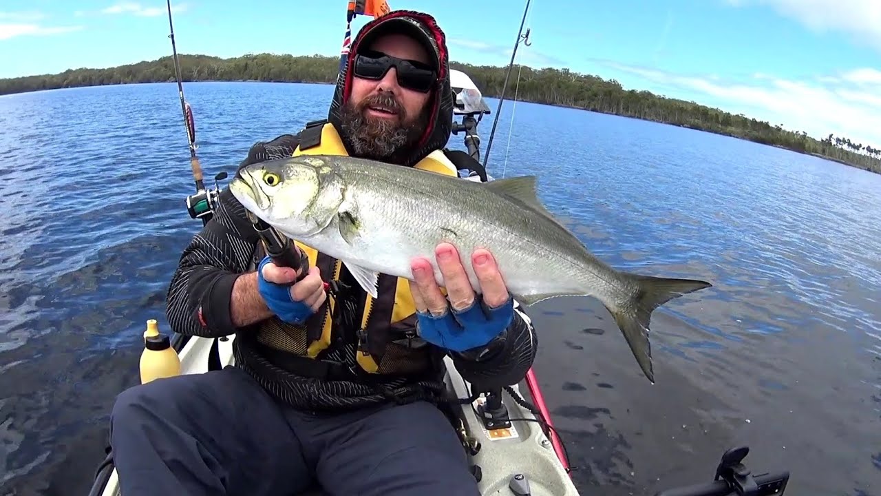 St Georges Basin Kayak Fishing Solid Greenbacks - YouTube