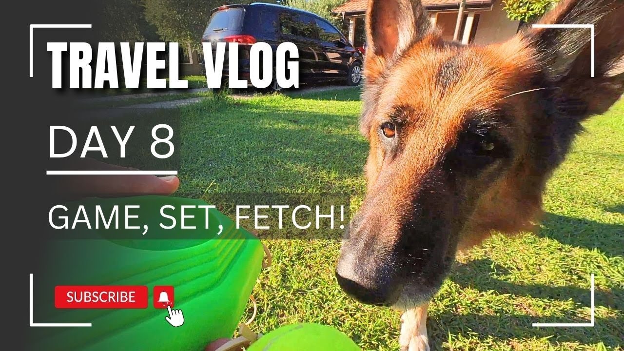 Day 8. Game, Set, Fetch! Tennis with My Dog - YouTube
