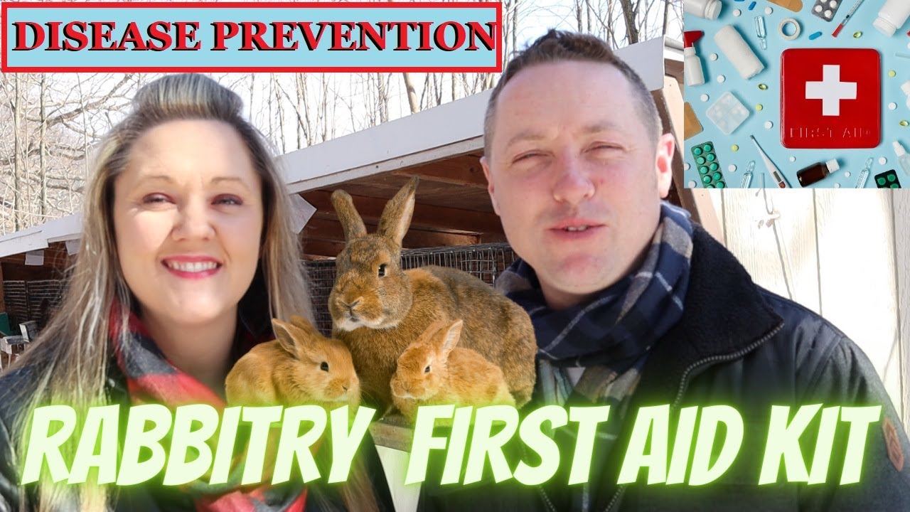 RABBITRY DISEASE PREVENTION & FIRST AID - YouTube