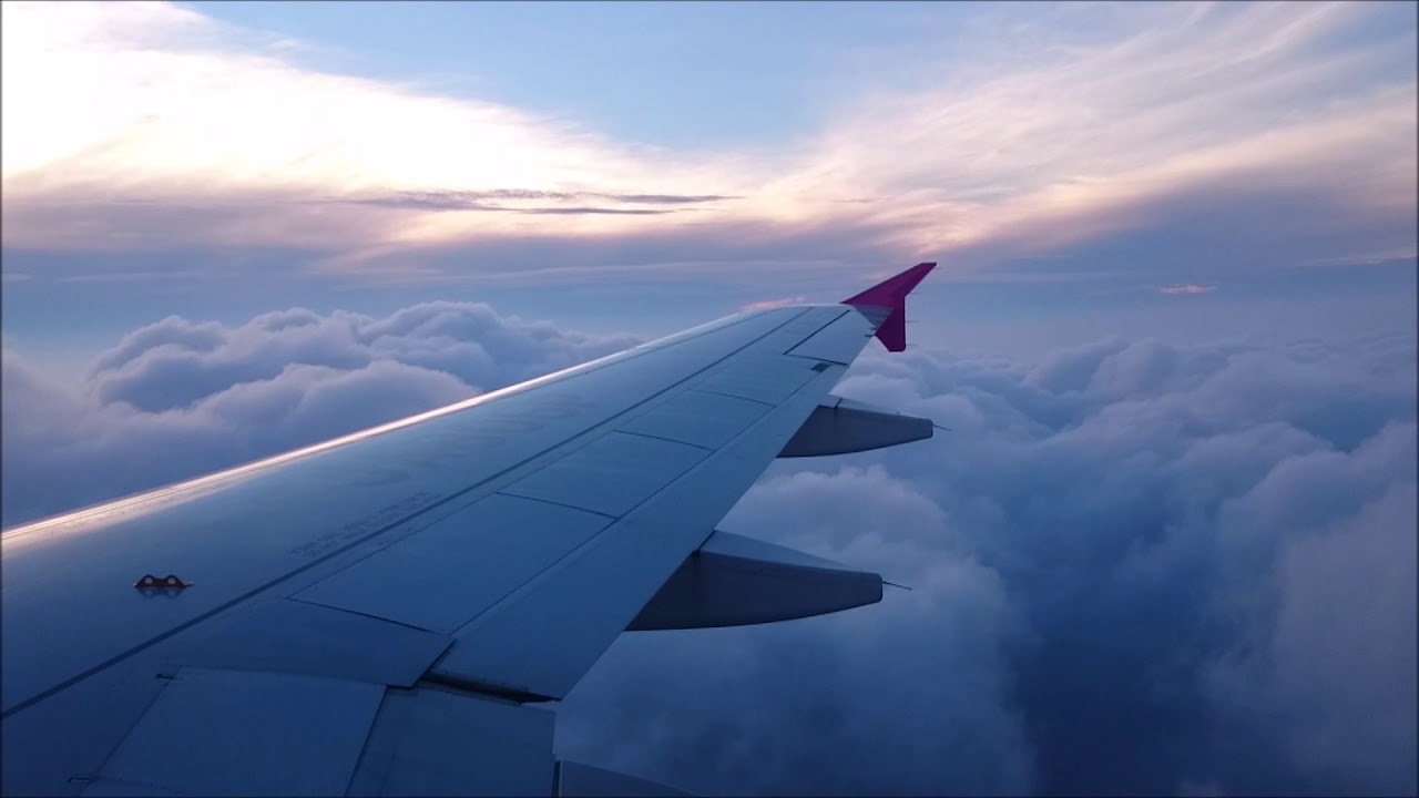 Beauty In Flight - YouTube
