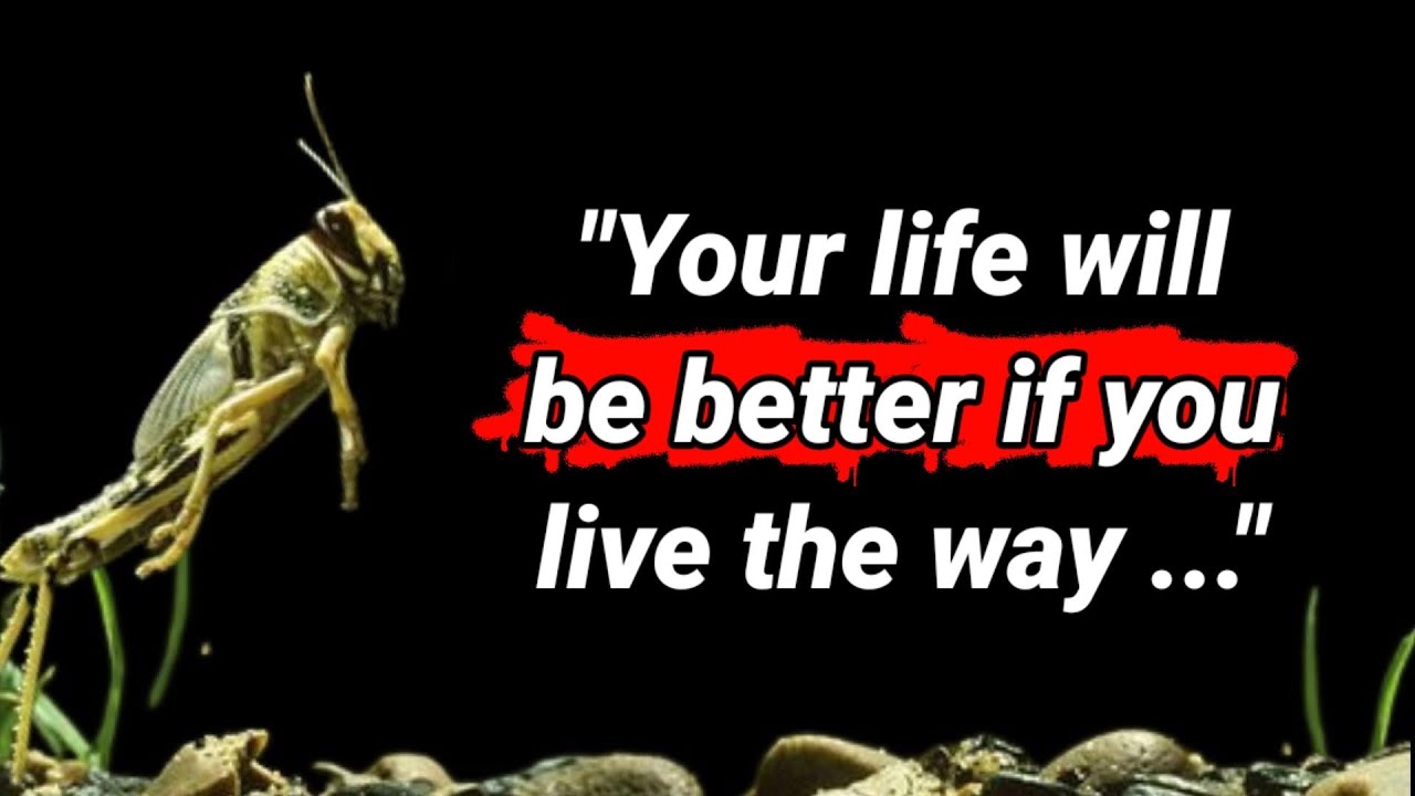 Quotes "grasshopper Leap" Motivation Inspiration About Life - YouTube