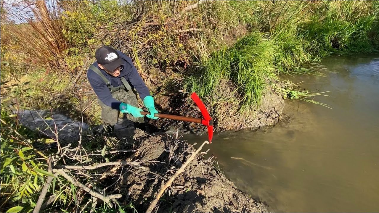 BEAVER DAM REMOVAL | MOTHER DAM PART #2 - YouTube