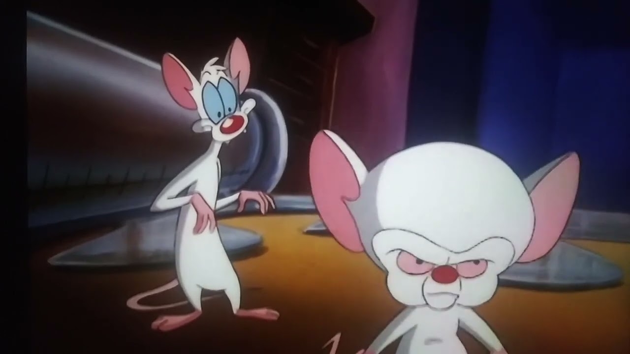 Pinky & The Brain Ending Remix 84 - YouTube