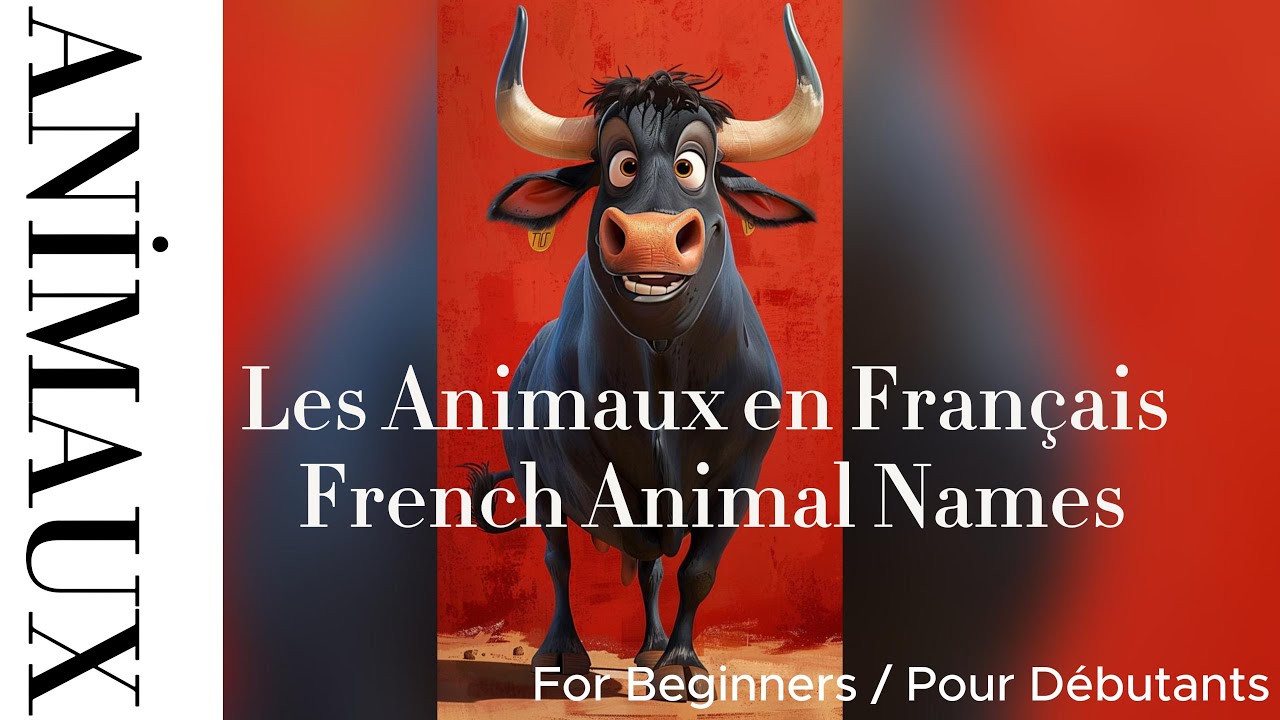 Les Animaux en Français - French Animal Names - YouTube