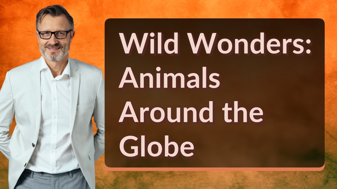 Wild Wonders: Animals Around the Globe - YouTube