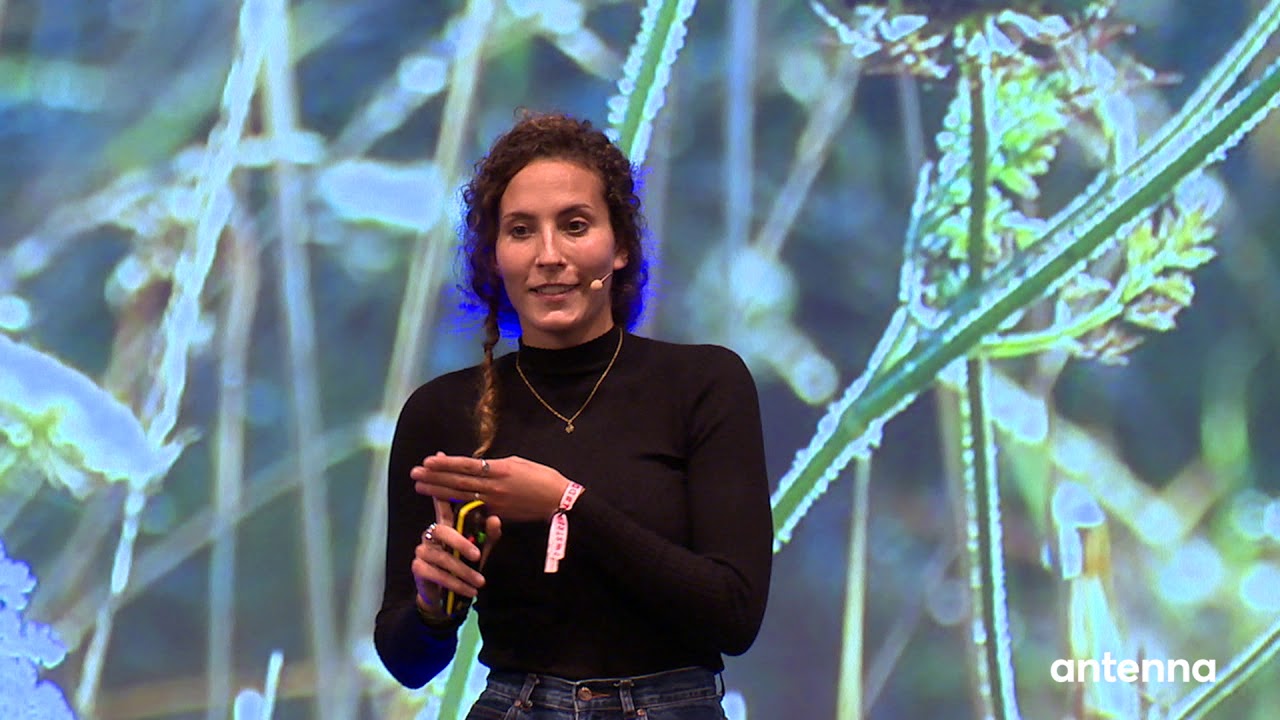 Alissa Rees designs life improving products || antenna 2017 - YouTube