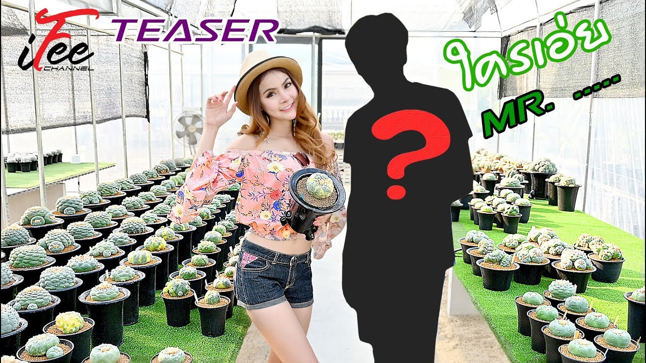 Teaser บุกฟาร์มดัง"ระดับประเทศ"ฉายา Mr.Baso แห่งวงการ cactus ...