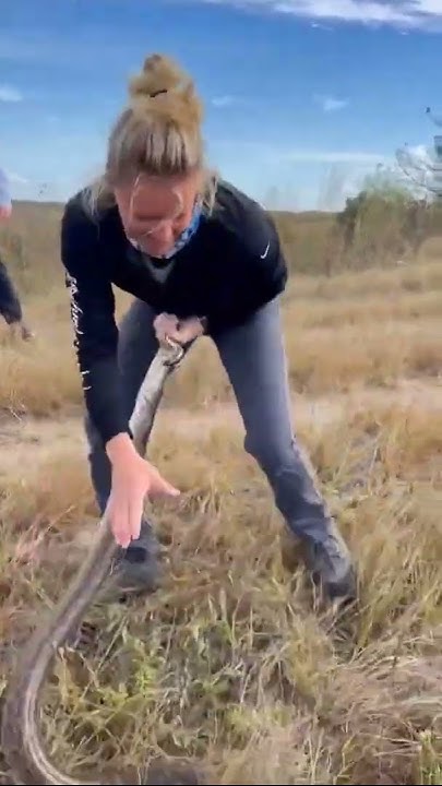 Python Huntress Amy Siewe uses dance moves to snare this squirrely ...