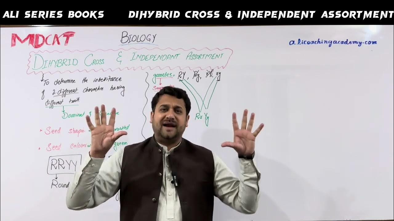 DIHYBRID CROSS & INDEPENDENT ASSORTMENT || INHERITANCE || GENETICS ...