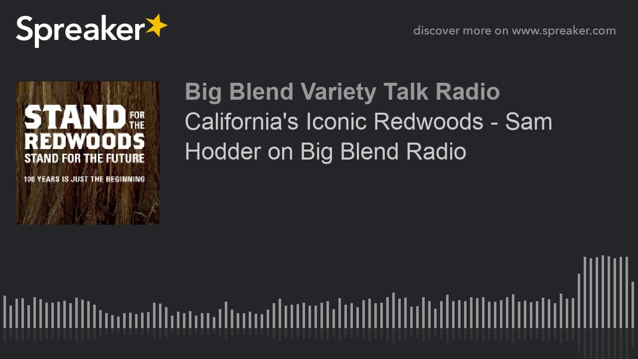 California's Iconic Redwoods - Sam Hodder on Big Blend Radio - YouTube