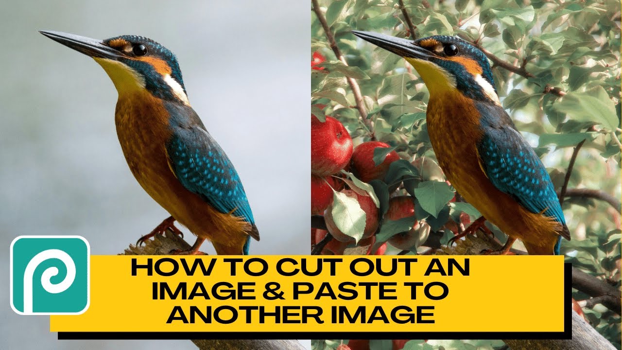 How to Cut Out an Image & Paste to Another Image in PHOTOPEA - YouTube