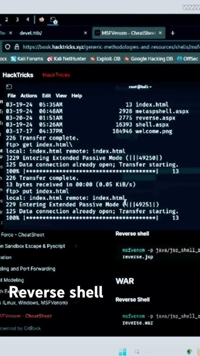 Access reverse shell with #Meyerpeter in kali Linux #cybersecurity # ...