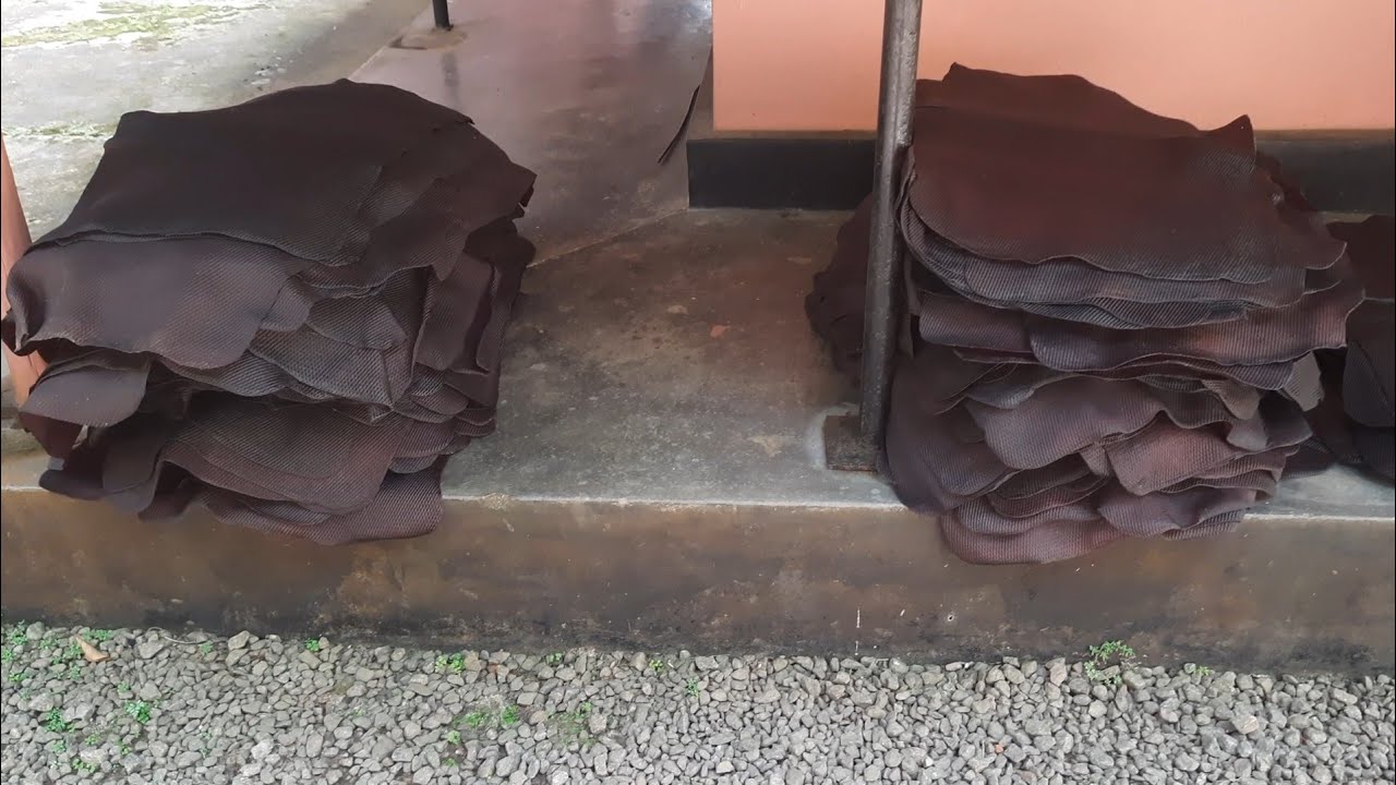 Grade 4 Rubber Sheet Making Process lV Grade Rubber Sheet Making YouTube grade-4-rubber-sheet-making-process-lv-grade-rubber-sheet-making-youtube