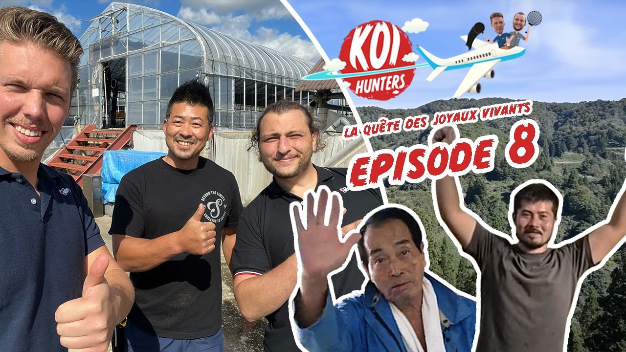 Koi Hunters - La quête des joyaux vivants - Episode 8 - YouTube