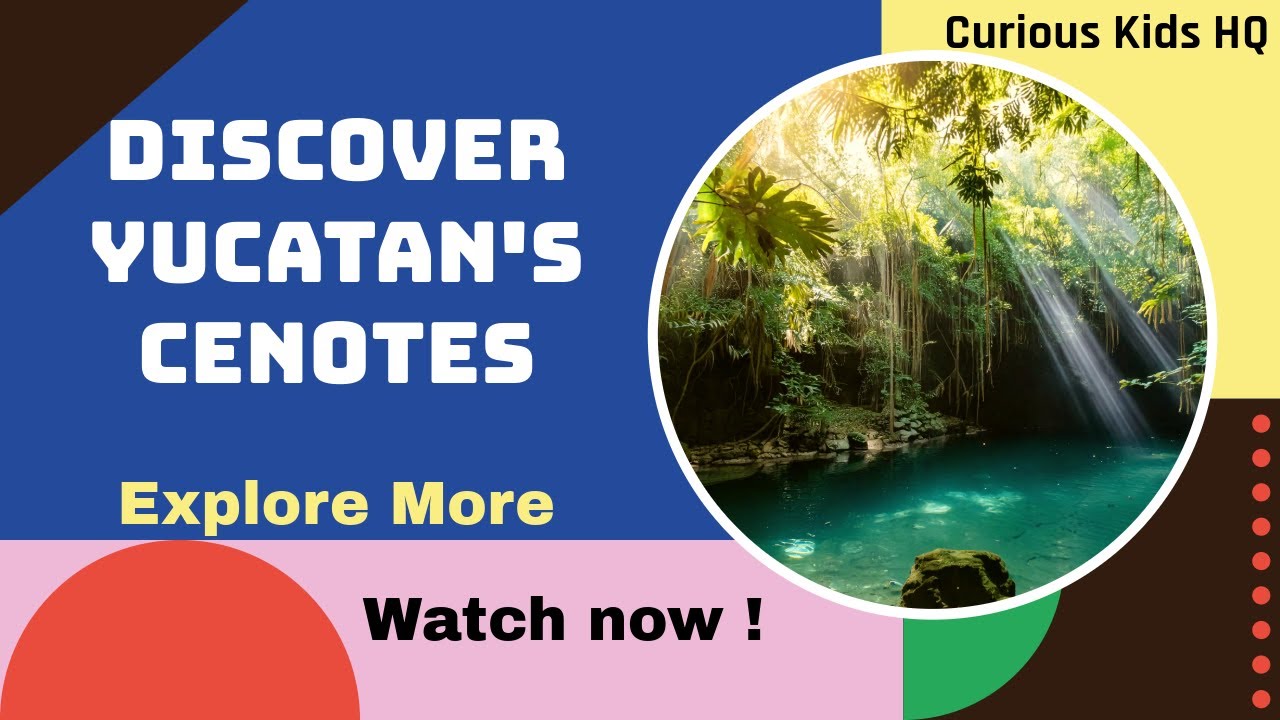 Cenotes of the Yucatán: Nature’s Hidden Pools - YouTube