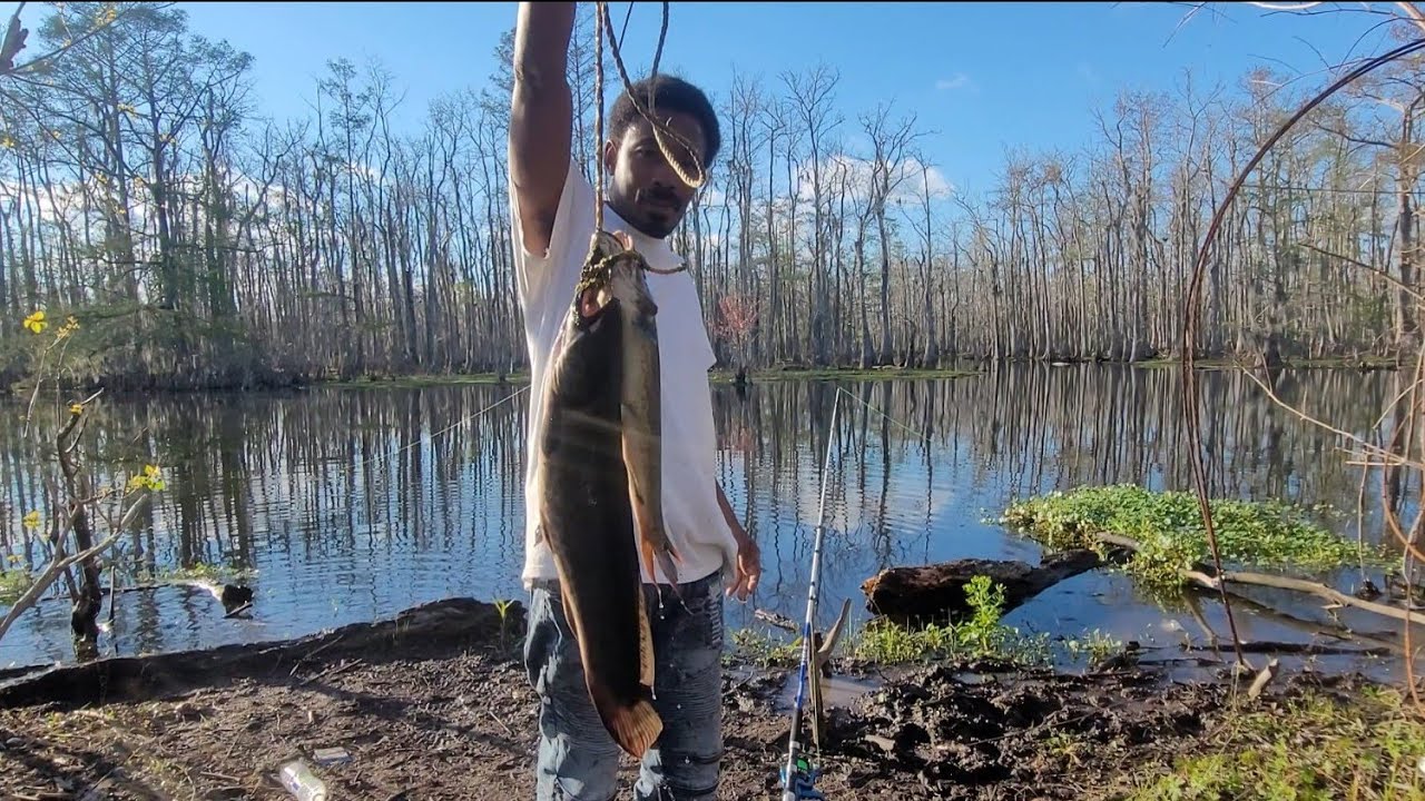 choupique session | bank fishing - YouTube
