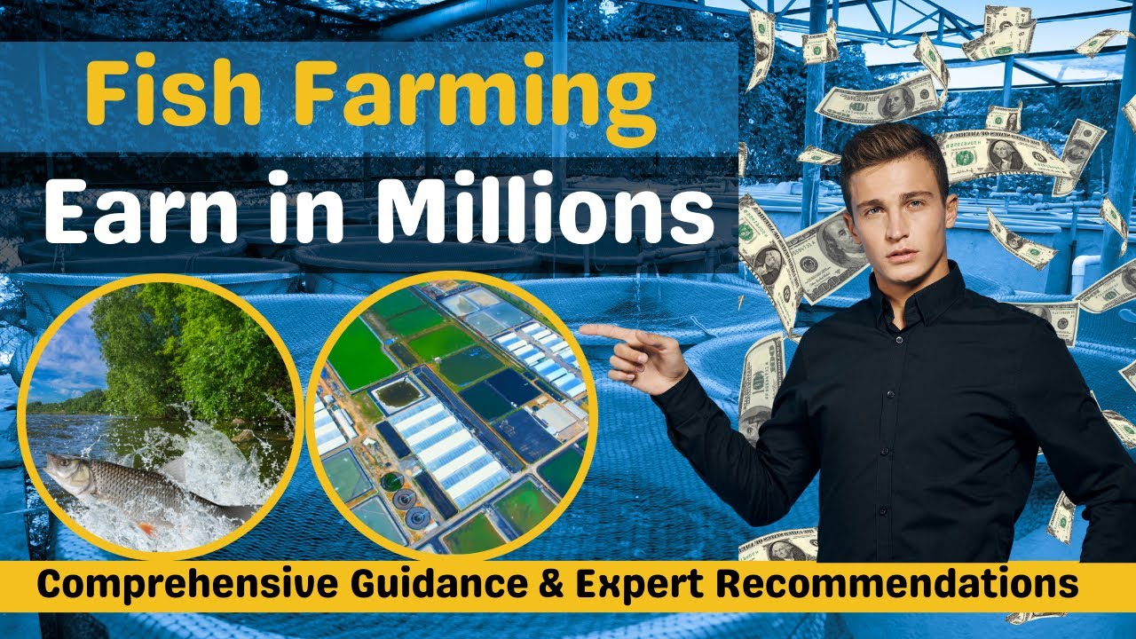 Fish Farming Business | Step by Step Guide to Establishing Your Fish ...