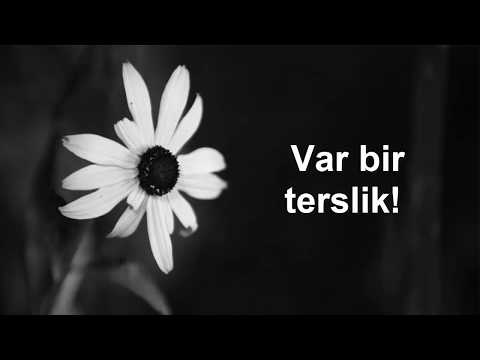 Kısa Şiir 20 | Var bir terslik // İsmail Günay