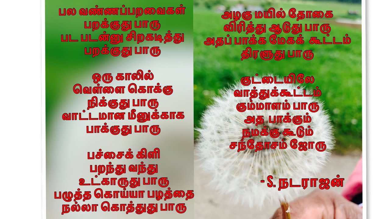 Tamil Rhymes For Toddlers | Birds Tamil Rhymes In Tamil - YouTube