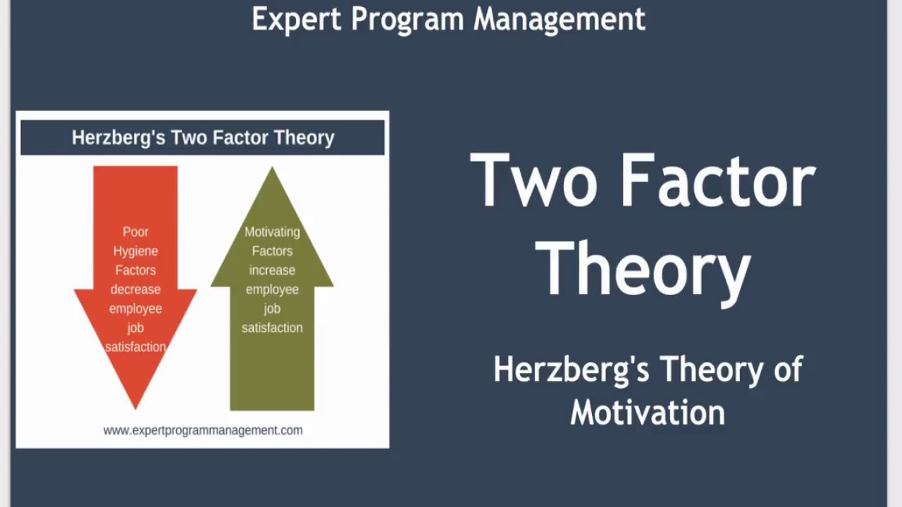 Sources Of Employee Motivation Understanding The Two Factor Theory ZOHAL