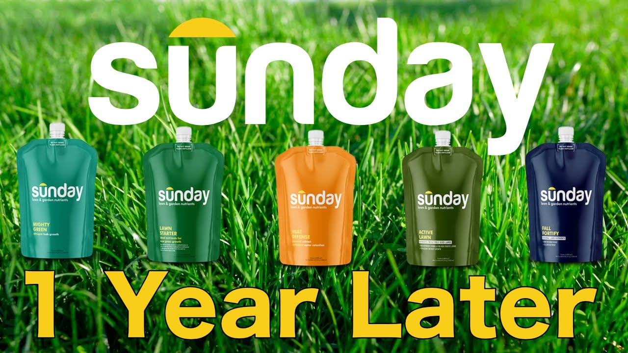 After A Year Of Sunday Lawn Care Was It Worth It YouTube After A Year Of Sunday Lawn Care Was It Worth It YouTube