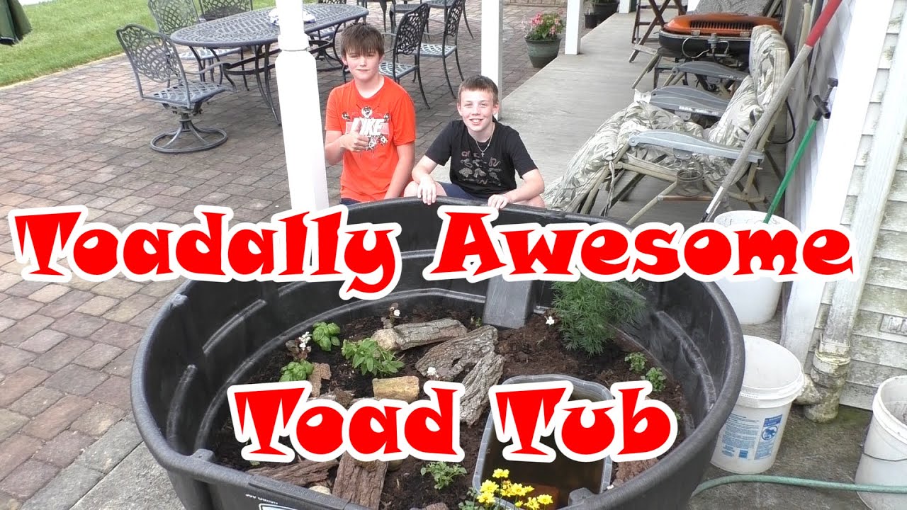 Toadally Awesome Toad Tub - YouTube