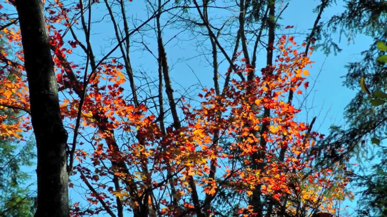 Upland Air By Adam Ruzzo - YouTube