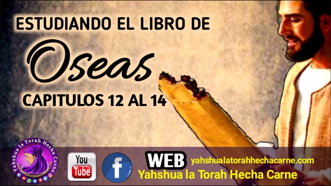 ESTUDIANDO EL LIBRO DE OSEAS CAPÍTULOS 12 AL 14 - Yahshua la Torah ...