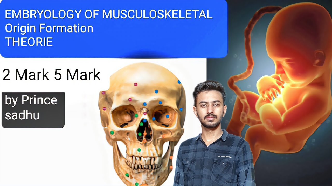 embryology of musculoskeletal system #muscle #medicaleducation #nurisng ...
